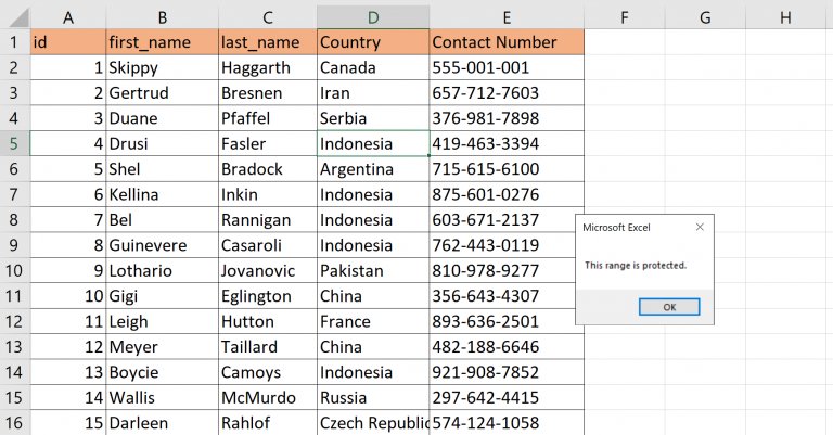 How to Protect Sheet but Allow Data Entry in Excel - Sheetaki