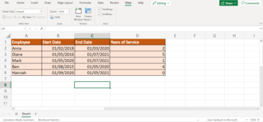 How to Calculate Years of Service in Excel - Sheetaki
