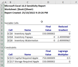 How to Create a Sensitivity Report from Solver in Excel - Sheetaki