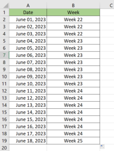 How to Add Text Prefix with Custom Format in Excel
